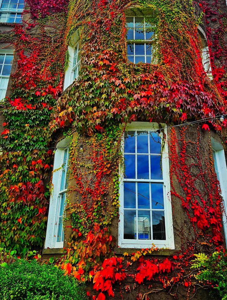 7 Days Exploring Ireland: A Travel Guide (Part 1) | let's go places